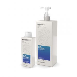 Morphosis Reinforcing – Framesi