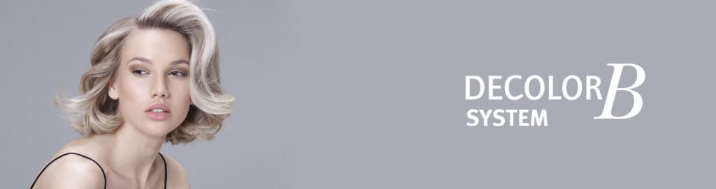 Decolor B System – Framesi